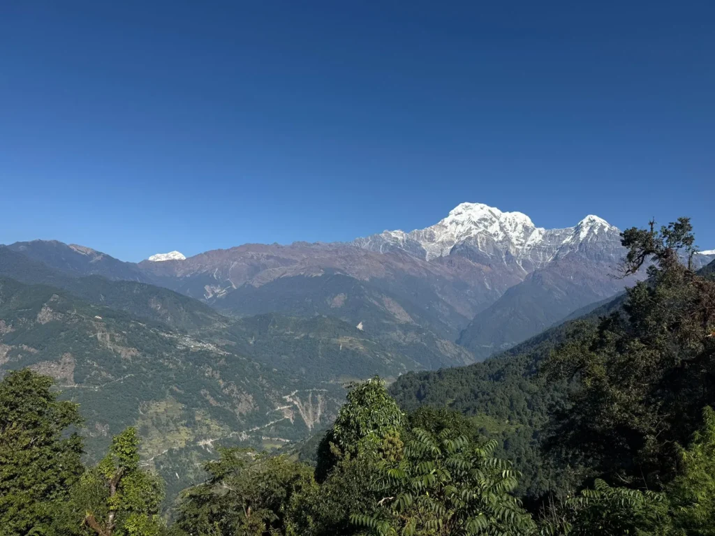 Mardi Himal Trek - 7 Days in Nepal, Cost 2026
